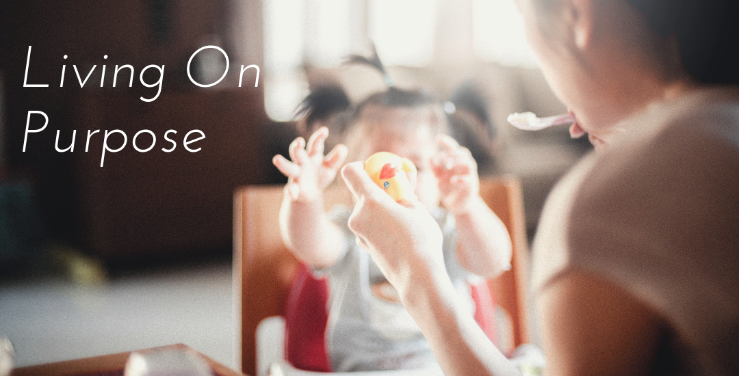 Living On Purpose – Experience Revival